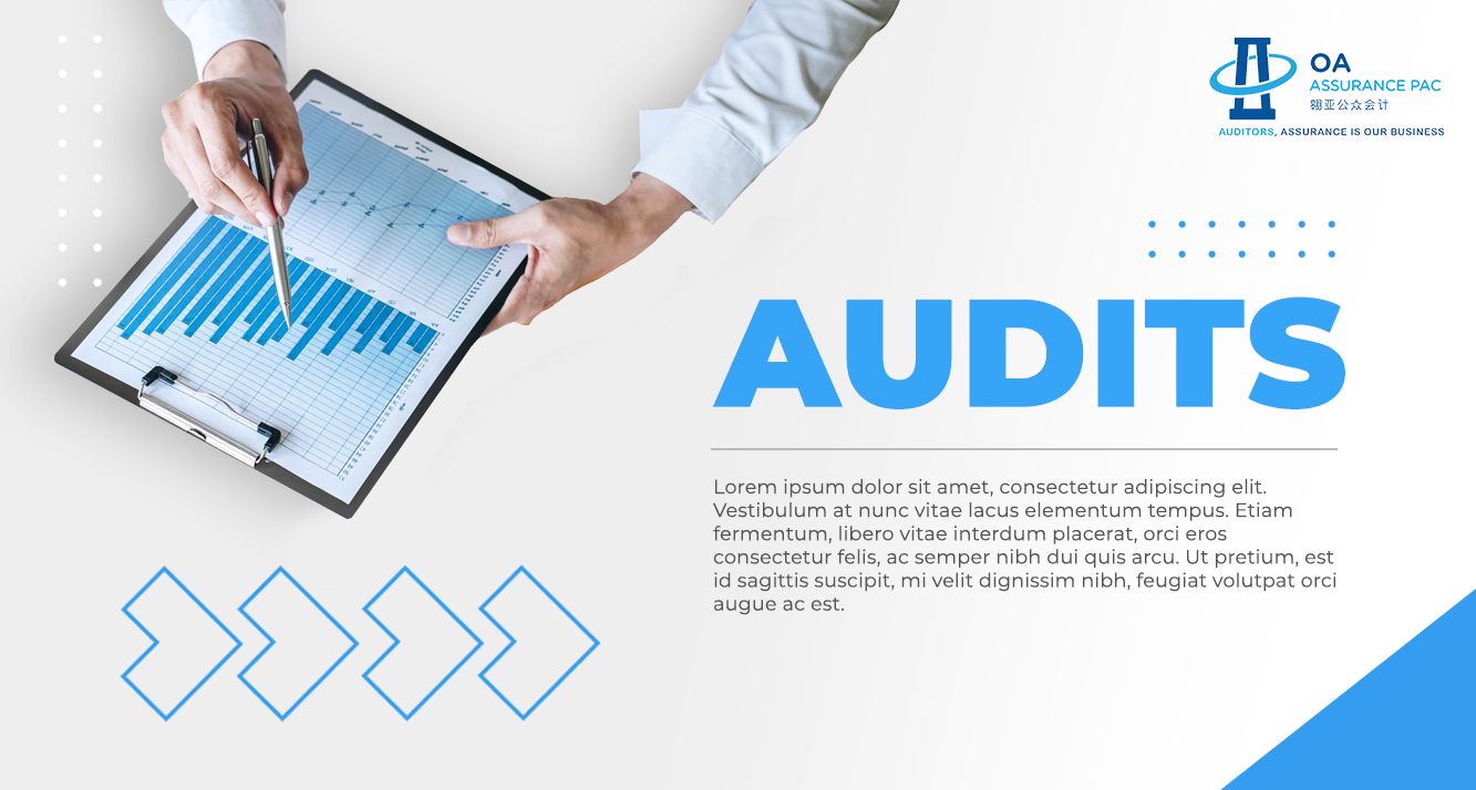 Sales Audit Sample - OA Assurance
